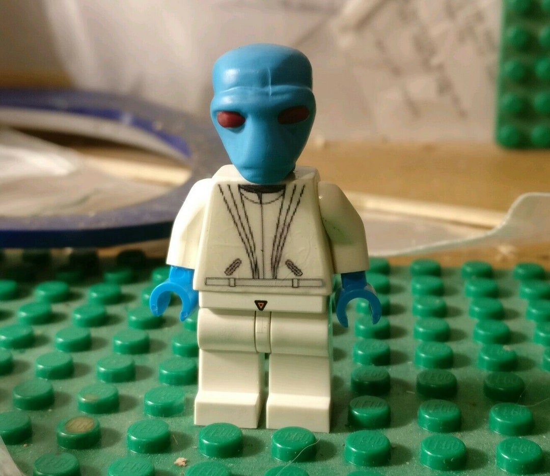 CUSTOM Lego Star Wars Ohwun De Maal or Ellorrs Madak duros Species - Etsy