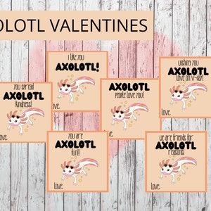 Axolotl Valentine, Axolotl Vday Cards, Axolotl Cards, Axolotl Boho ...