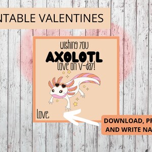 Axolotl Valentine, Axolotl Vday Cards, Axolotl Cards, Axolotl Boho ...