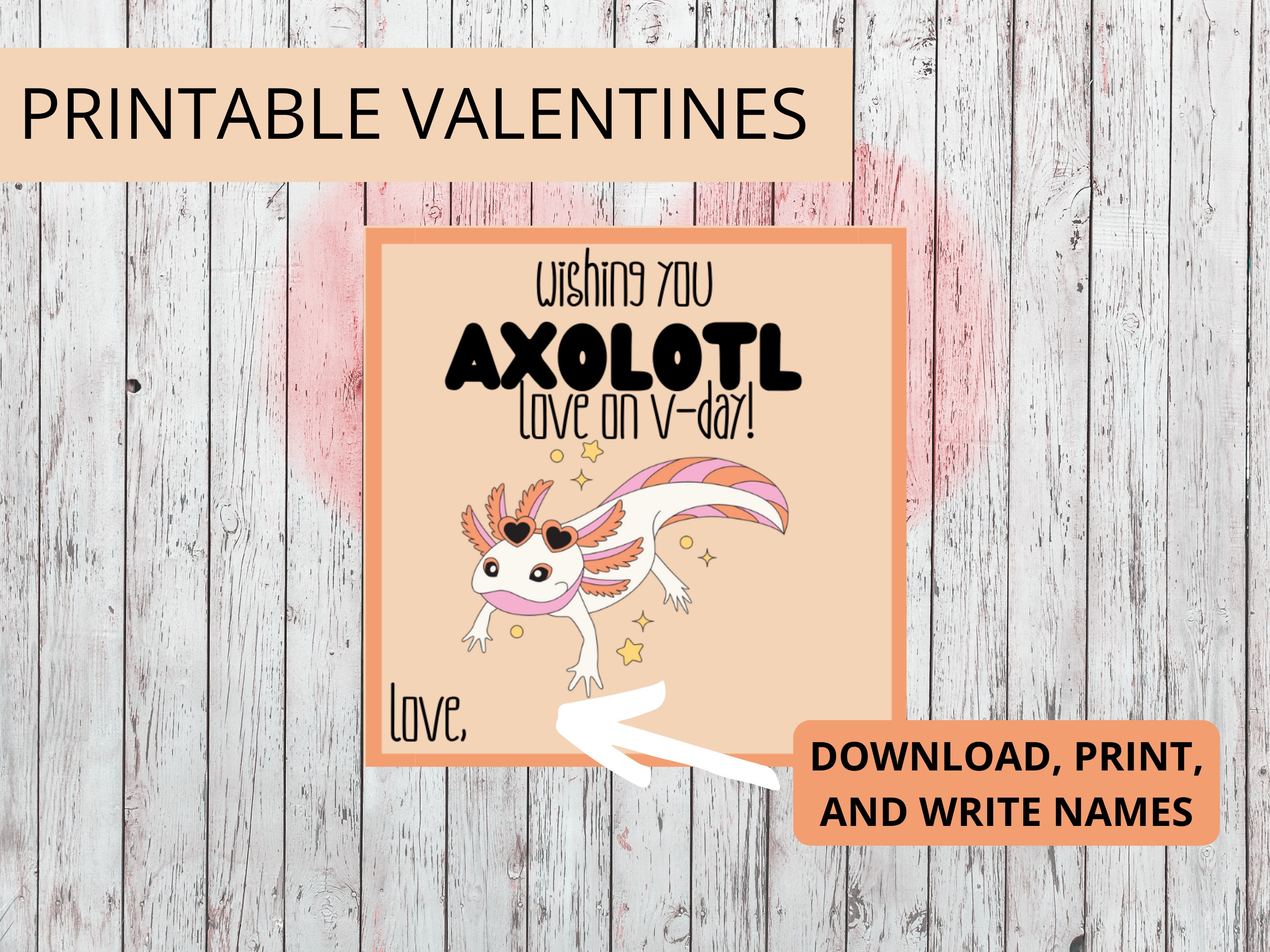 Axolotl Valentine, Axolotl Vday Cards, Axolotl Cards, Axolotl Boho ...