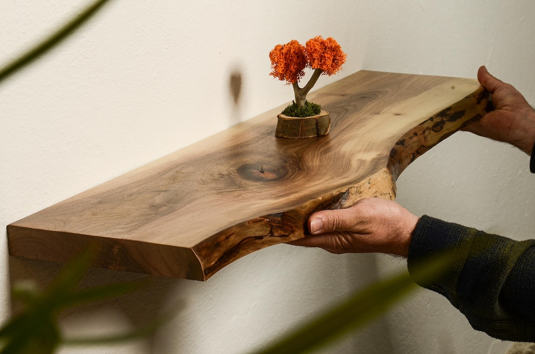 Driftwood Shelf, 12'' to 47'' Walnut Shelf, Floating Natural Wood ...