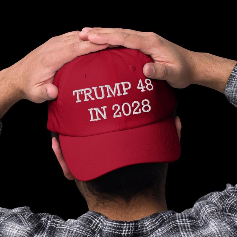 Trump 2028 Hat Pink - Etsy