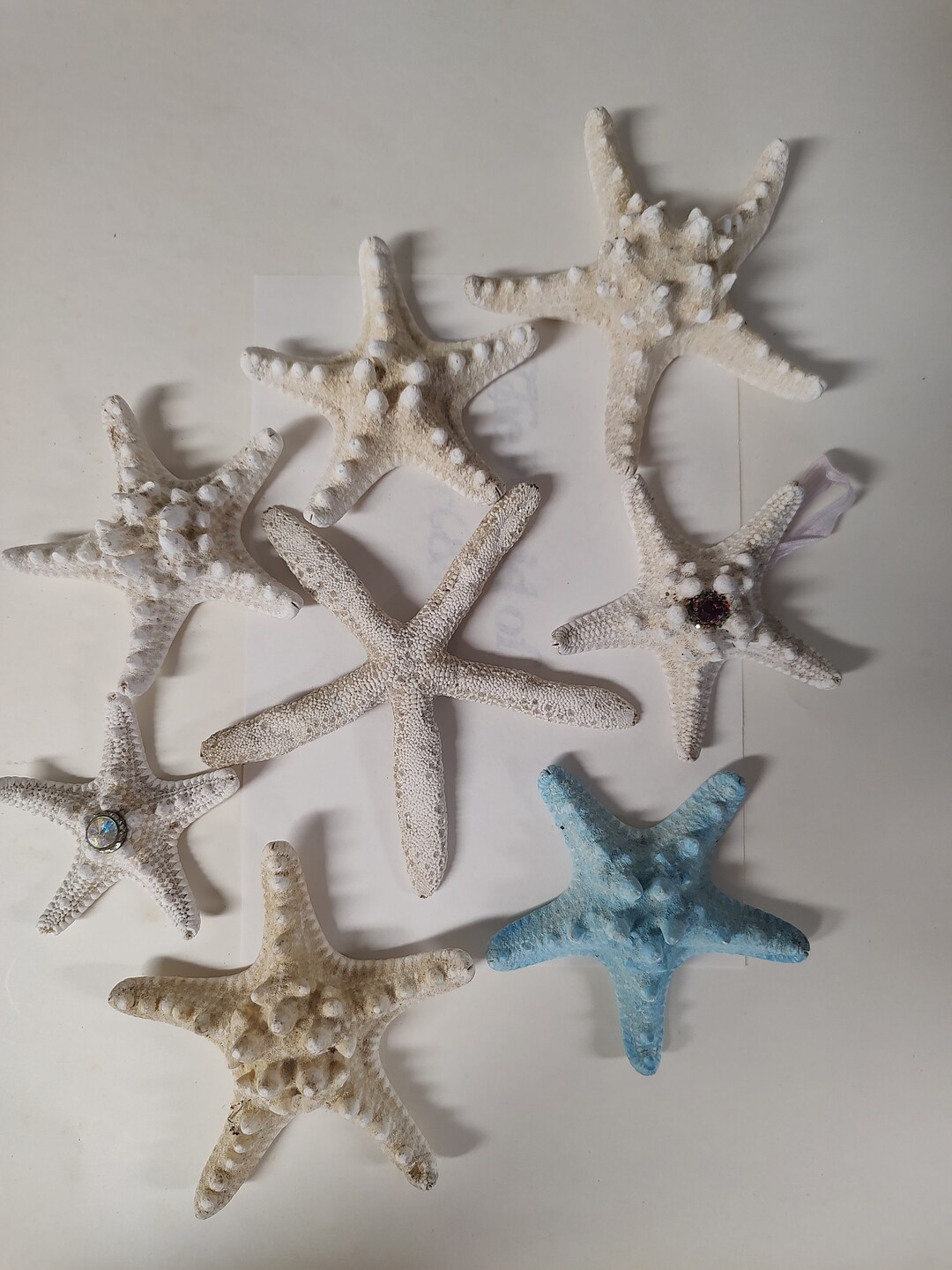 Starfish, Real Starfish, Project Starfish, Knobby Starfish for Crafts ...