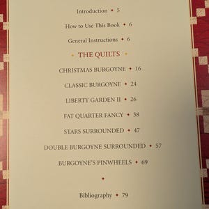 Burgoyne Surrounded: Classic Quilt Plus Six Variations, Elizabeth Hamby Carlson, That Patchwork ...