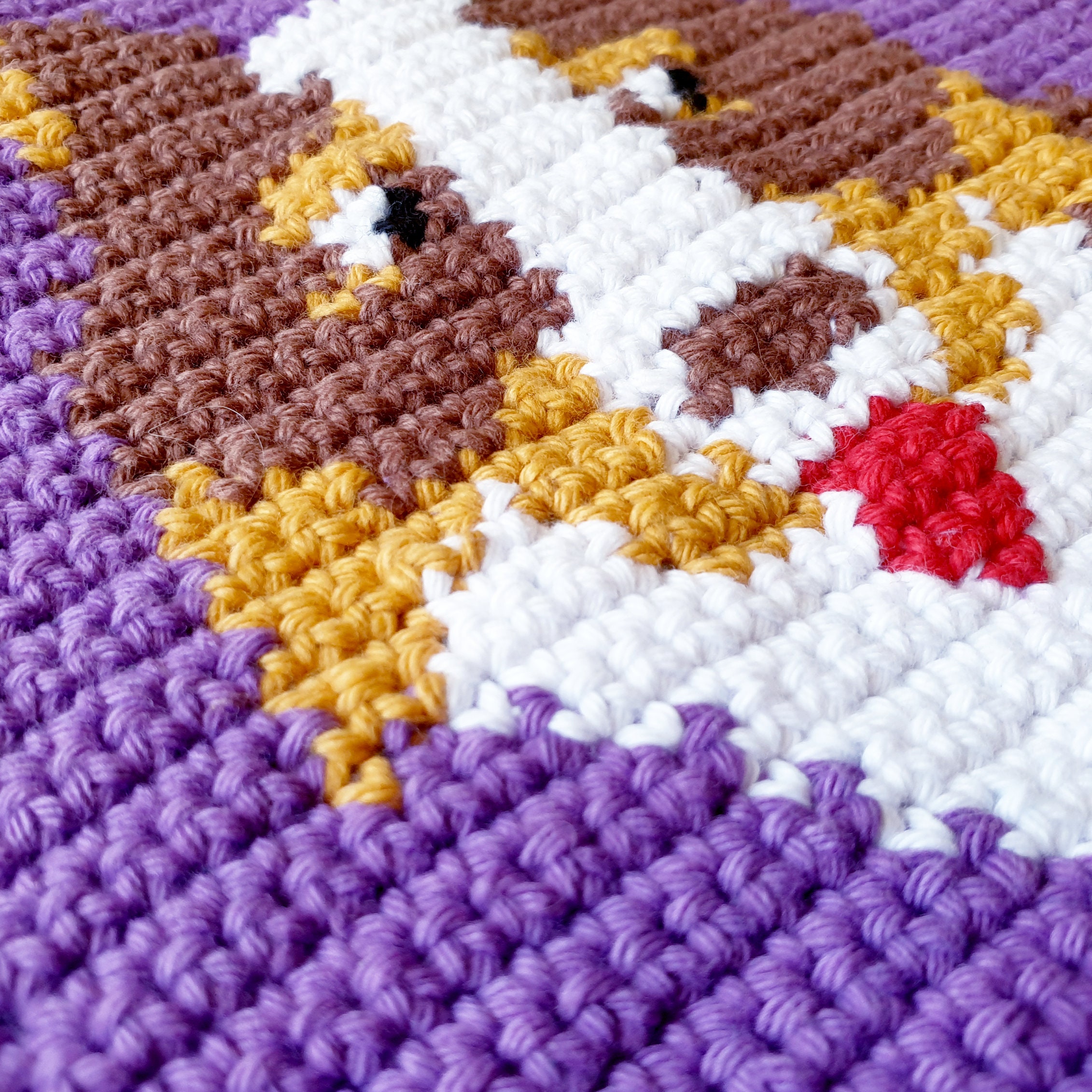 Border Collie Dog Pattern Charts for Crochet and Knitting - Etsy Ireland