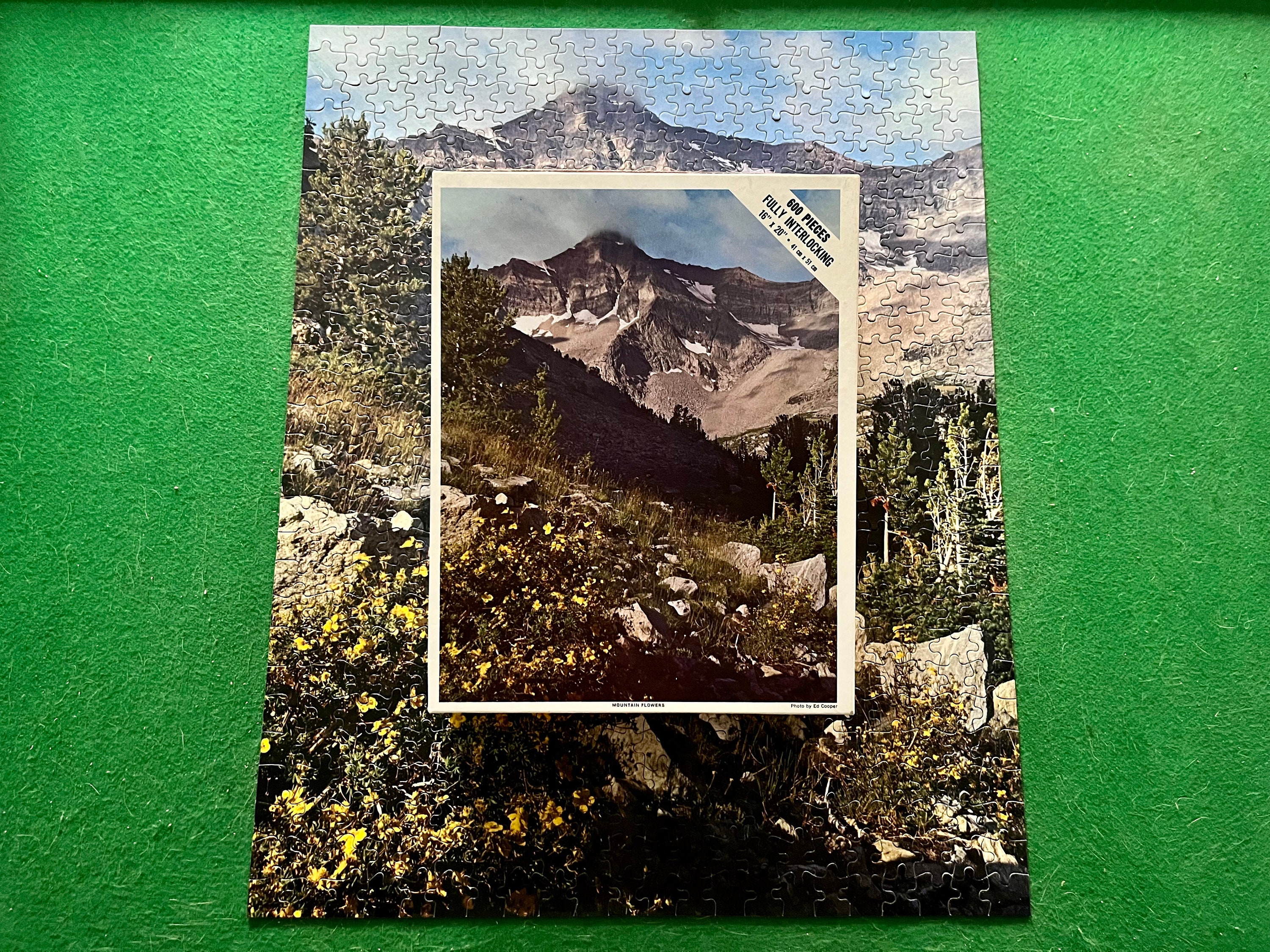 Complete 600 Piece Fully Interlocking Whitman Jigsaw Puzzle Mountain ...