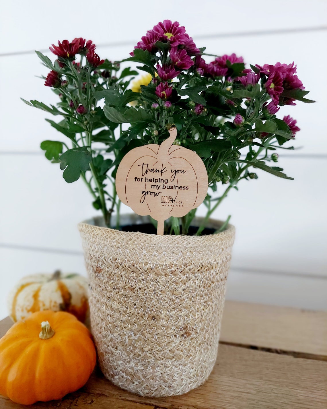 Realtor Fall Pop by Gift, Client Appreciation Gift, Closing Day, Plant ...
