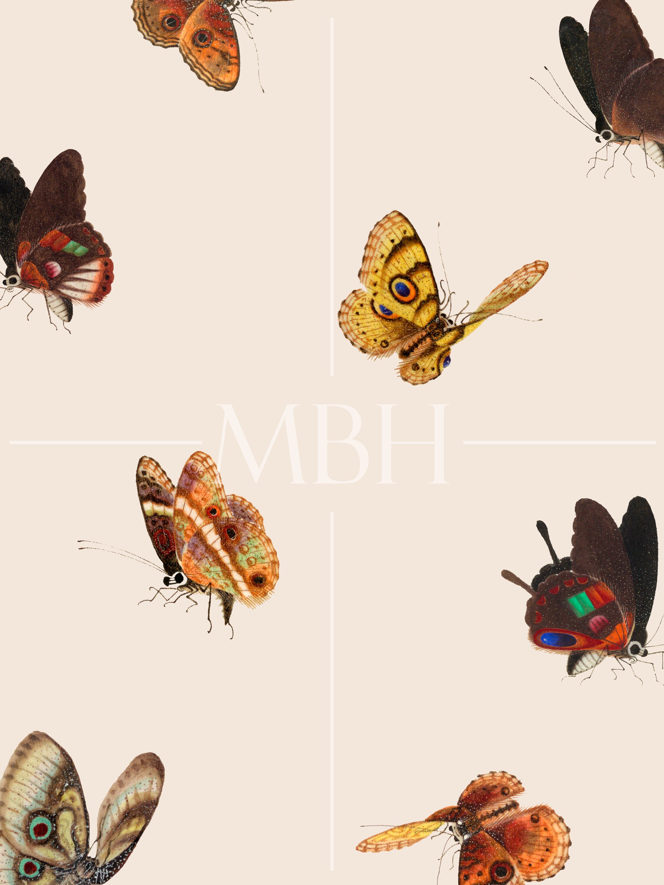 Printable Aesthetic Neutral Butterfly Wall Art Downloadable | Etsy