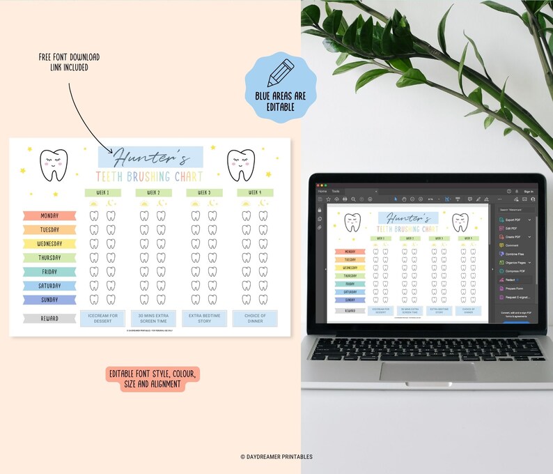 Kids Daily Teeth Brushing Visual Chart With Reward | Editable Monthly ...
