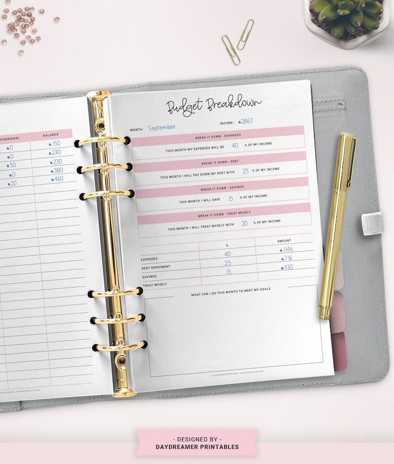 Finance Planner Printable Finance Tracker Budget Planner | Etsy