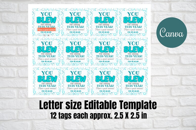 End Of Year Class Bubbles Gift tags you blew me away this | Etsy
