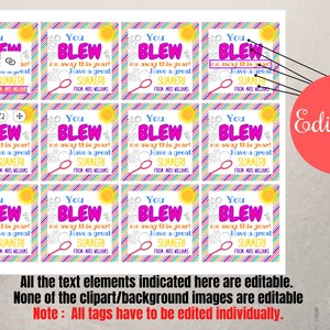 End of Term Class Bubbles Gift Tags You Blew Me Away This - Etsy UK