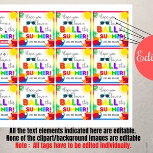 Hope You Have a Ball This Year Gift Tags, End of Term Gifts for Class ...