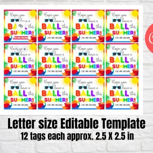 Hope You Have a Ball This Year Gift Tags, End of Term Gifts for Class ...