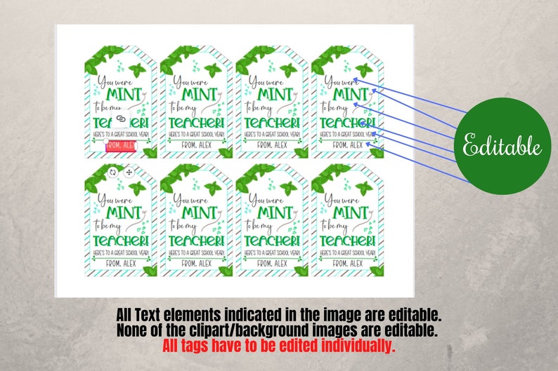 Mint Back to School Gift Tags for Teachers, You Were Mint to Be My ...