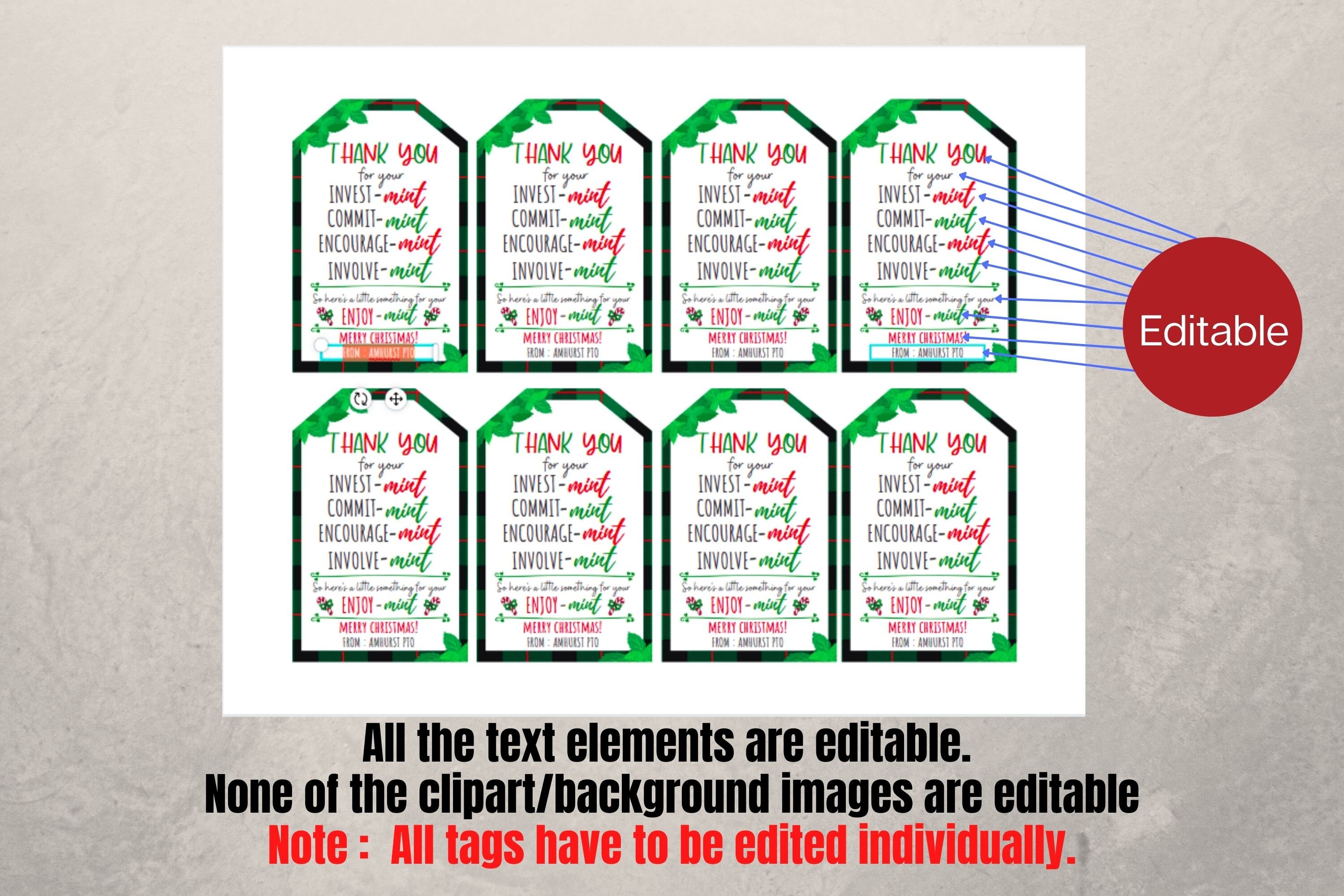 Christmas Mint Teacher Gift Tags Teacher Editable Gift Tags | Etsy