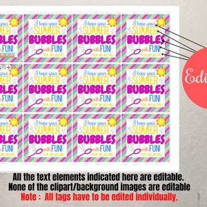 End of Year Class Bubbles Gift Tags, Hope Your Summer is Bubbles With ...