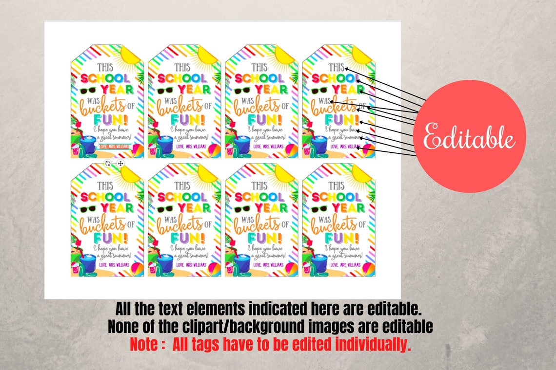 Buckets of Fun Gift Tags End of Year Gift Tags for Class End - Etsy
