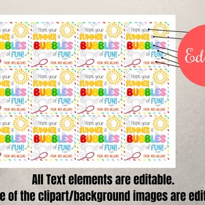 Hope Your Summer is Bubbles With Fun,end of Year Class Bubbles Gift ...