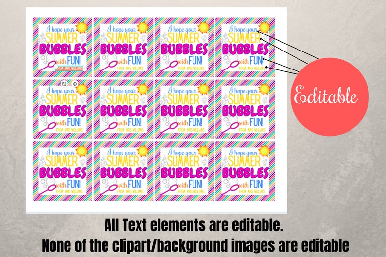 End of Year Class Bubbles Gift Tags Hope Your Summer is | Etsy UK