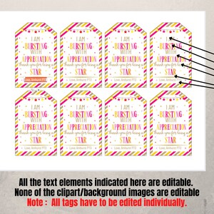 Bursting With Appreciation Gift Tags, Teacher Appreciation Week , Staff ...