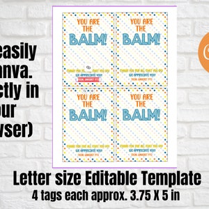 You Are the Balm, Employee Appreciation Week Chap Stick,lip Balm Gift ...