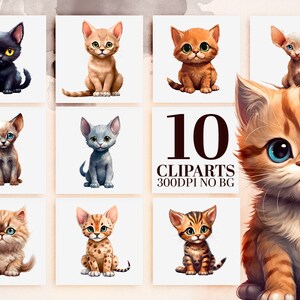 Cute Watercolor Cat Breeds Clipart Bundle, 50 Kitten Pngs, Sublimation ...