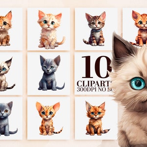 Cute Watercolor Cat Breeds Clipart Bundle, 50 Kitten Pngs, Sublimation ...