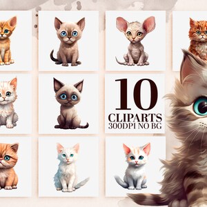 Cute Watercolor Cat Breeds Clipart Bundle, 50 Kitten Pngs, Sublimation ...