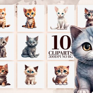 Cute Watercolor Cat Breeds Clipart Bundle, 50 Kitten Pngs, Sublimation ...