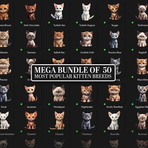 Cute Watercolor Cat Breeds Clipart Bundle, 50 Kitten Pngs, Sublimation ...