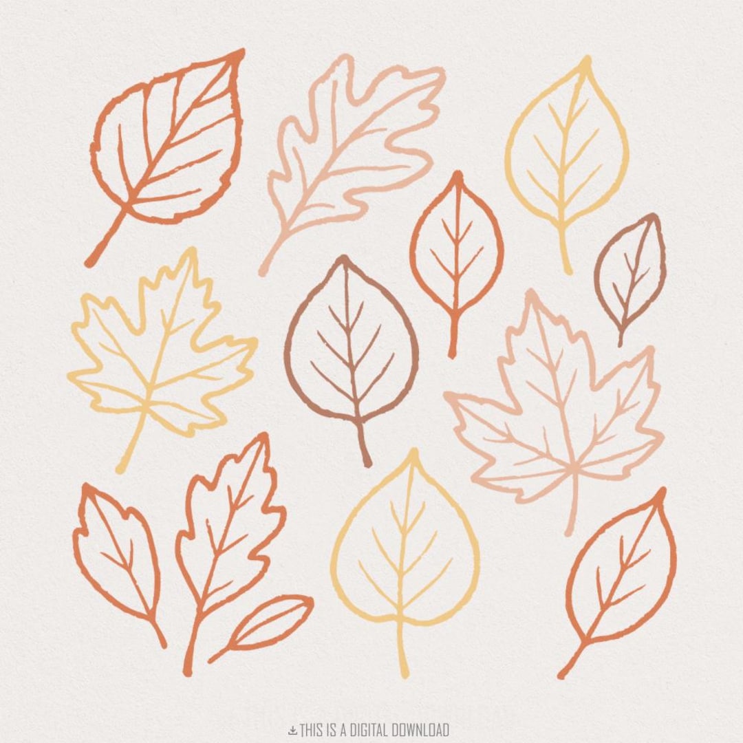 Autumn Leaves PNG, Fall Leaves PNG, Hand Drawn Outline Leaf Clipart ...