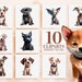 100 Watercolor Puppy Clipart Bundle, Dog Breeds PNG, Sublimation ...