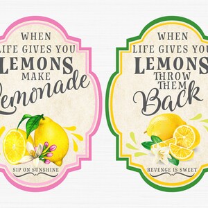 Lemonade Label, Drink Labels, Lemon Png, Soda Fruit Png, When Life ...