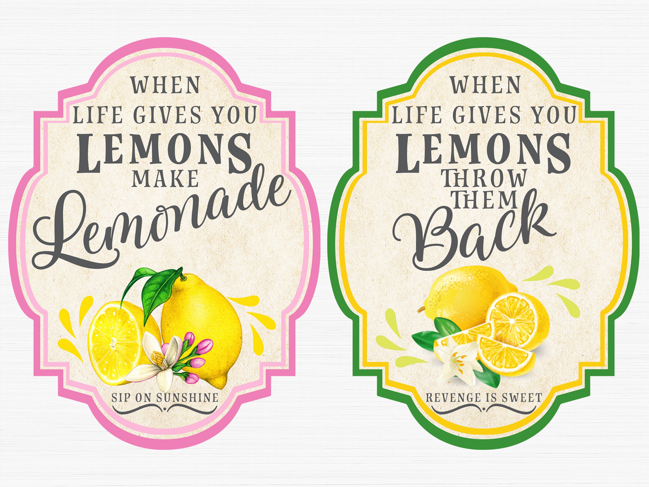 Lemonade Label, Drink Labels, Lemon Png, Soda Fruit Png, When Life ...