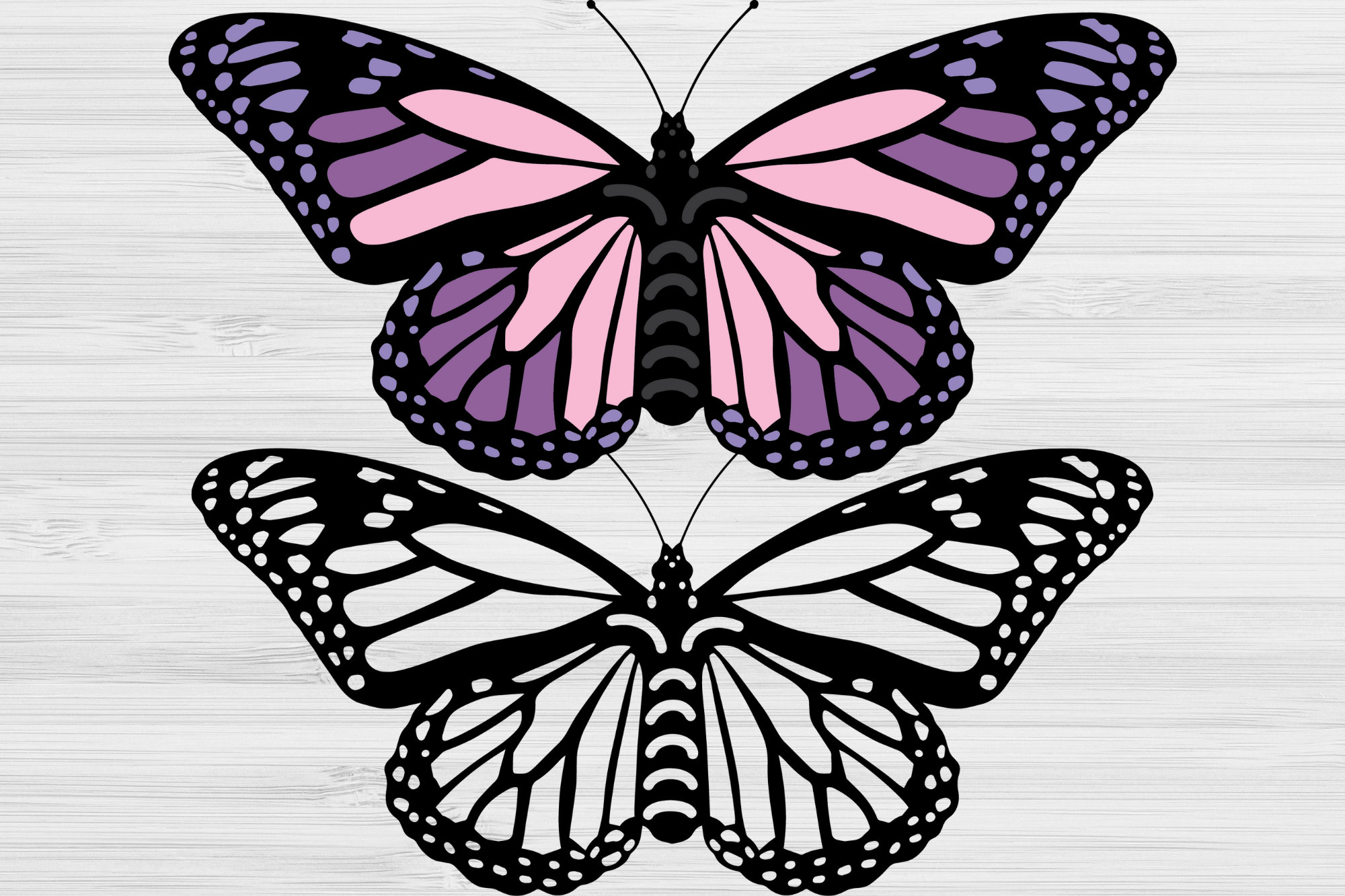 Butterfly Svg Layered Butterfly Svg Butterflies Svg - Etsy