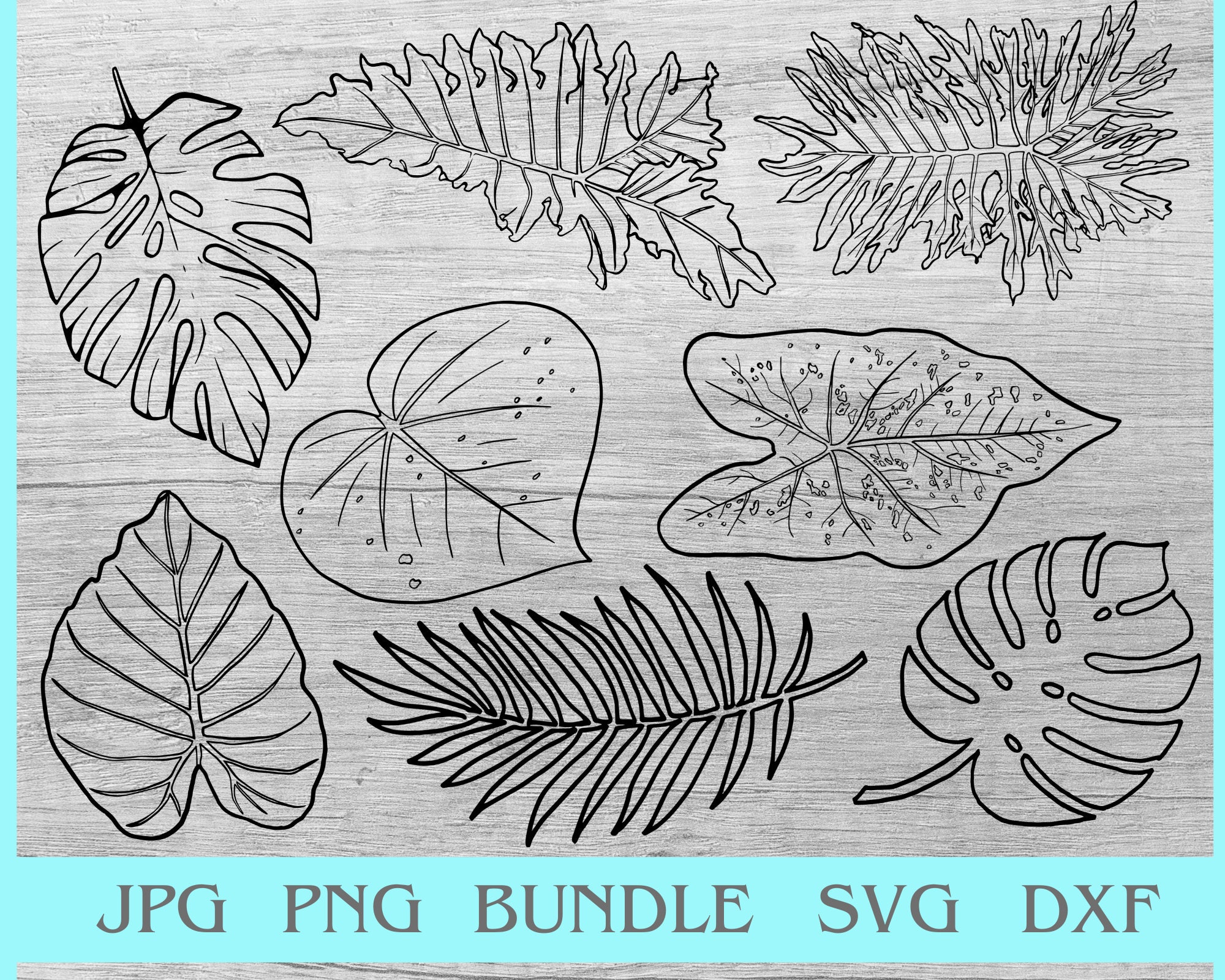 Rainforest Leaves Template - prntbl.concejomunicipaldechinu.gov.co