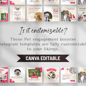 Pet Instagram, Editable Canva Template, Pet Social Media, Digital ...