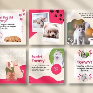 Pet Instagram, Editable Canva Template, Pet Social Media, Digital ...