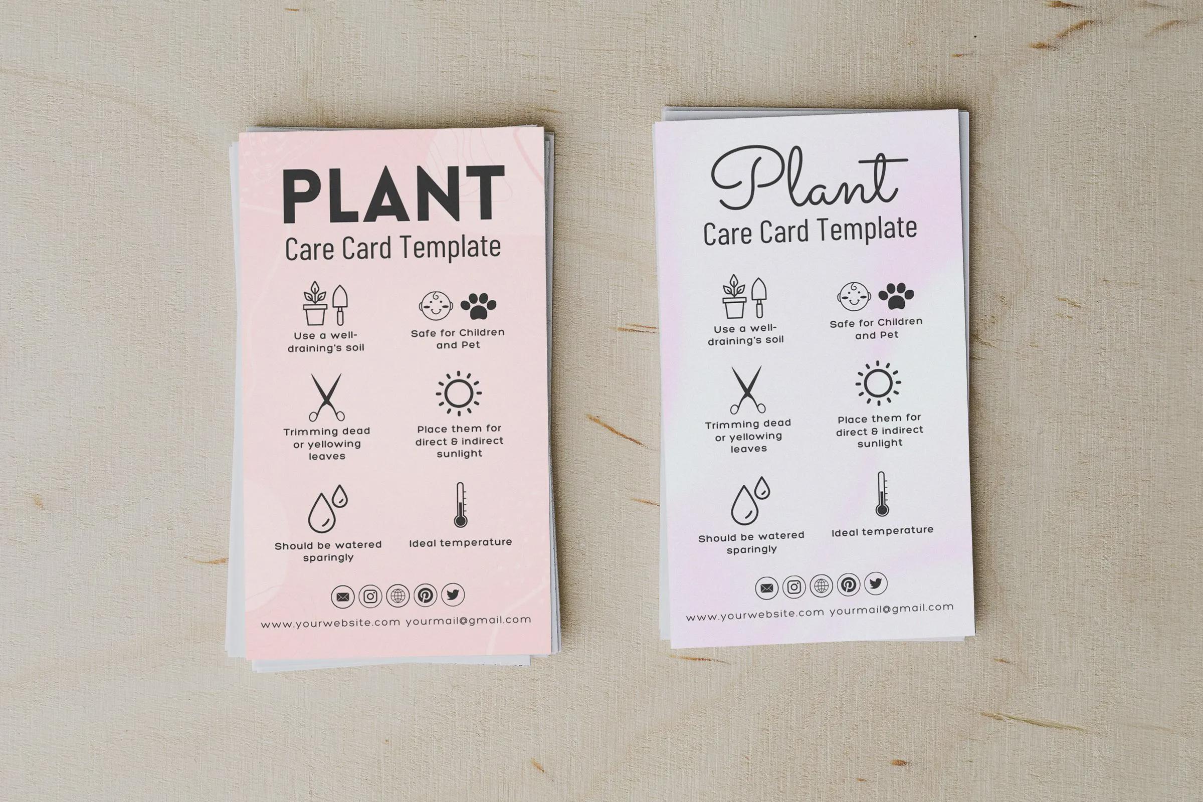 Printable Plant Care Card Template for Indoor Succulent Packaging ...
