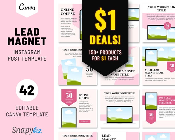 Lead Magnet Instagram Post Template Coach Branding - Etsy