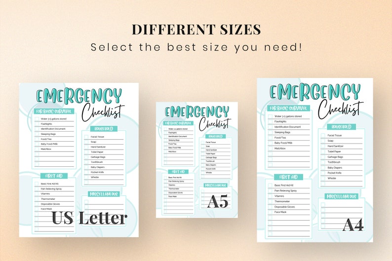 Emergency Checklist Emergency Plan Emergency Kit Template - Etsy