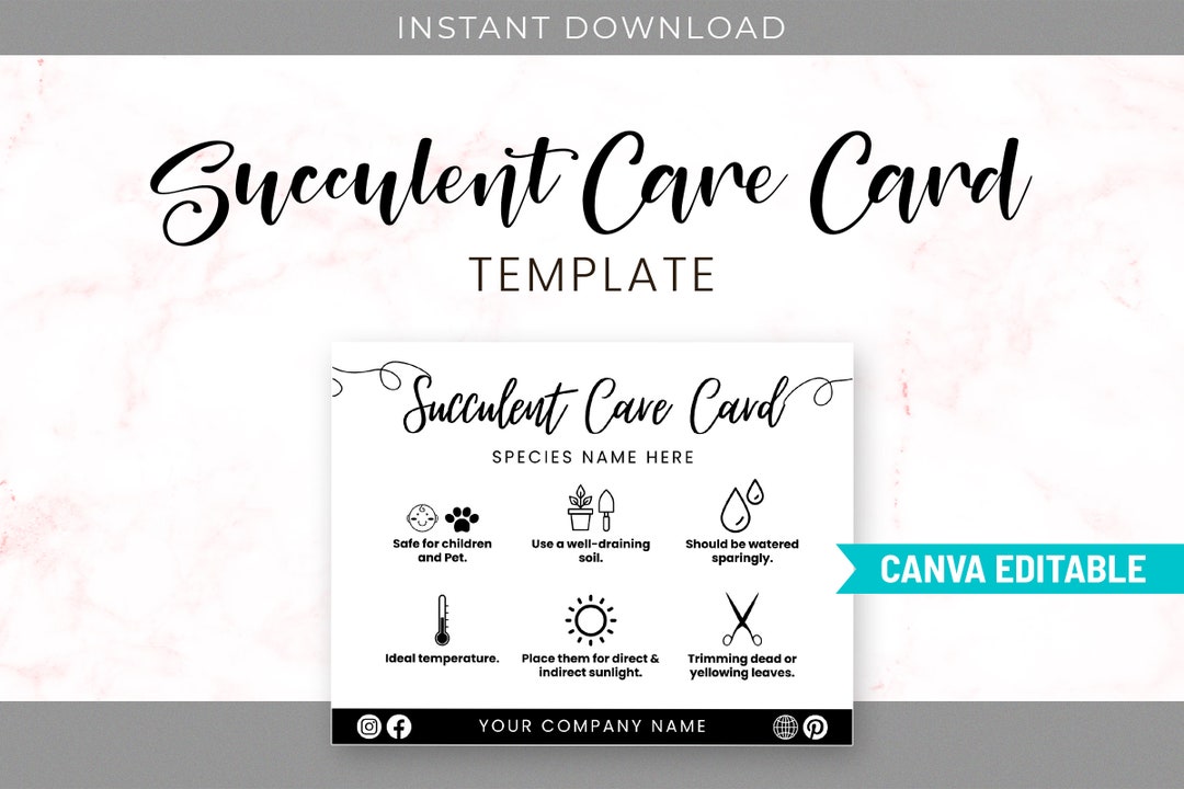 Succulent Care Guide Insert, Printable Care Guide Plants, Care ...