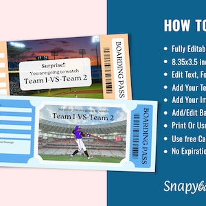 Printable Baseball Game Ticket Gift Template Editable Birthday Baseball ...