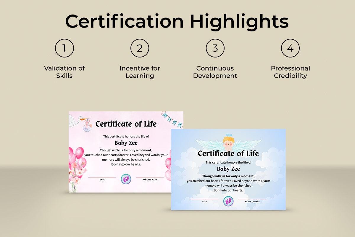 Baby Girl Birth Certificate Template, Minimalist Canva Print (digital ...