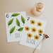 Bee Number Cards, Honeybee Number Printable, Home School Numbers ...