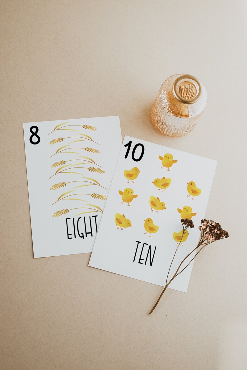 Chicken Number Cards Chicken Number Printable Home school | Etsy