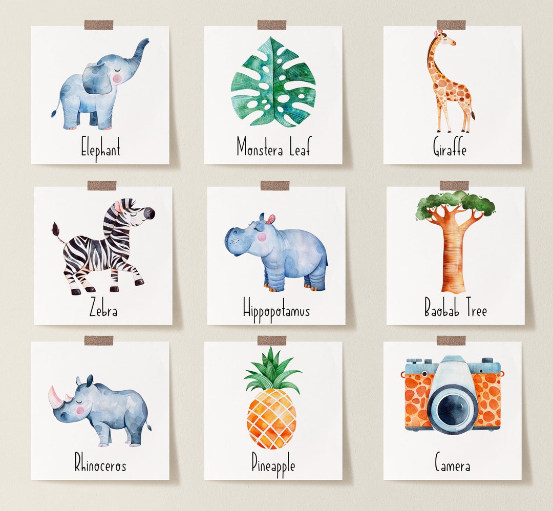 24 Tropical Safari Themed Flash Cards, Preschool Activity Cards ...