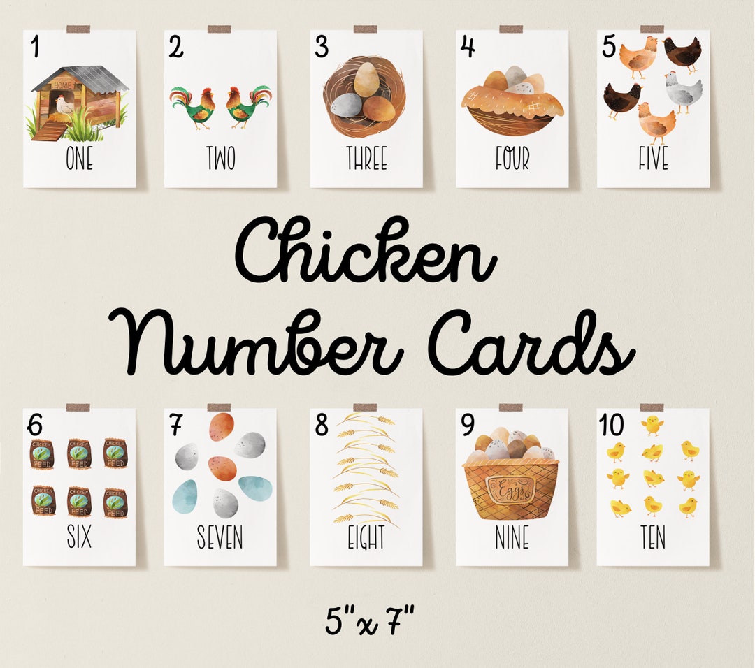Chicken Number Cards, Chicken Number Printable, Home School Numbers ...