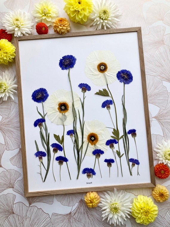 Herbarium Garden Herbarium Framed With Flowers and Dried - Etsy